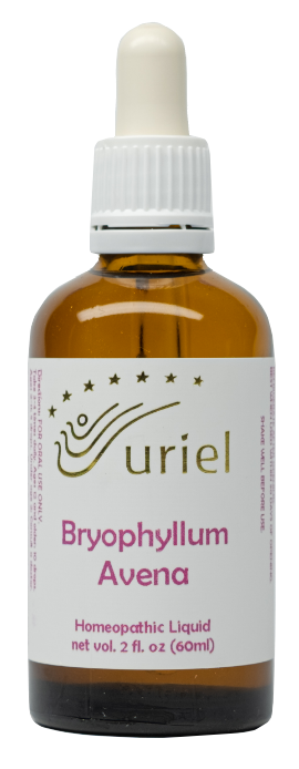 Bryophyllum Avena Liquid - Uriel Pharmacy