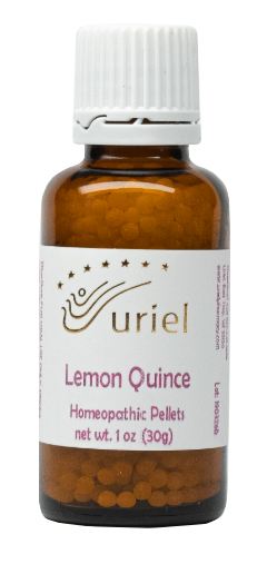 Lemon Quince Pellets - Uriel Pharmacy