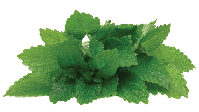 Melissa Cream - Uriel Pharmacy