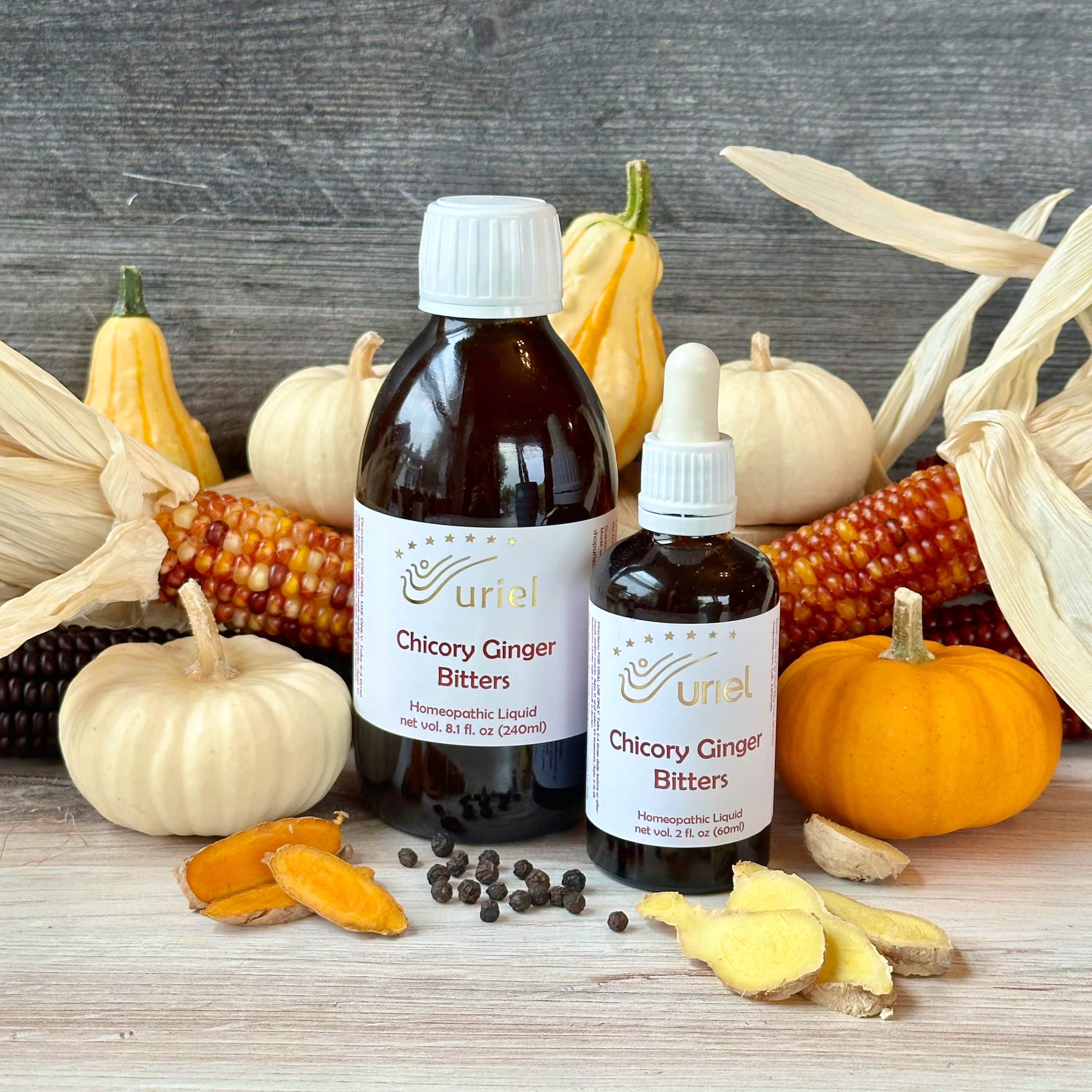 Chicory Ginger Bitters - Uriel Pharmacy